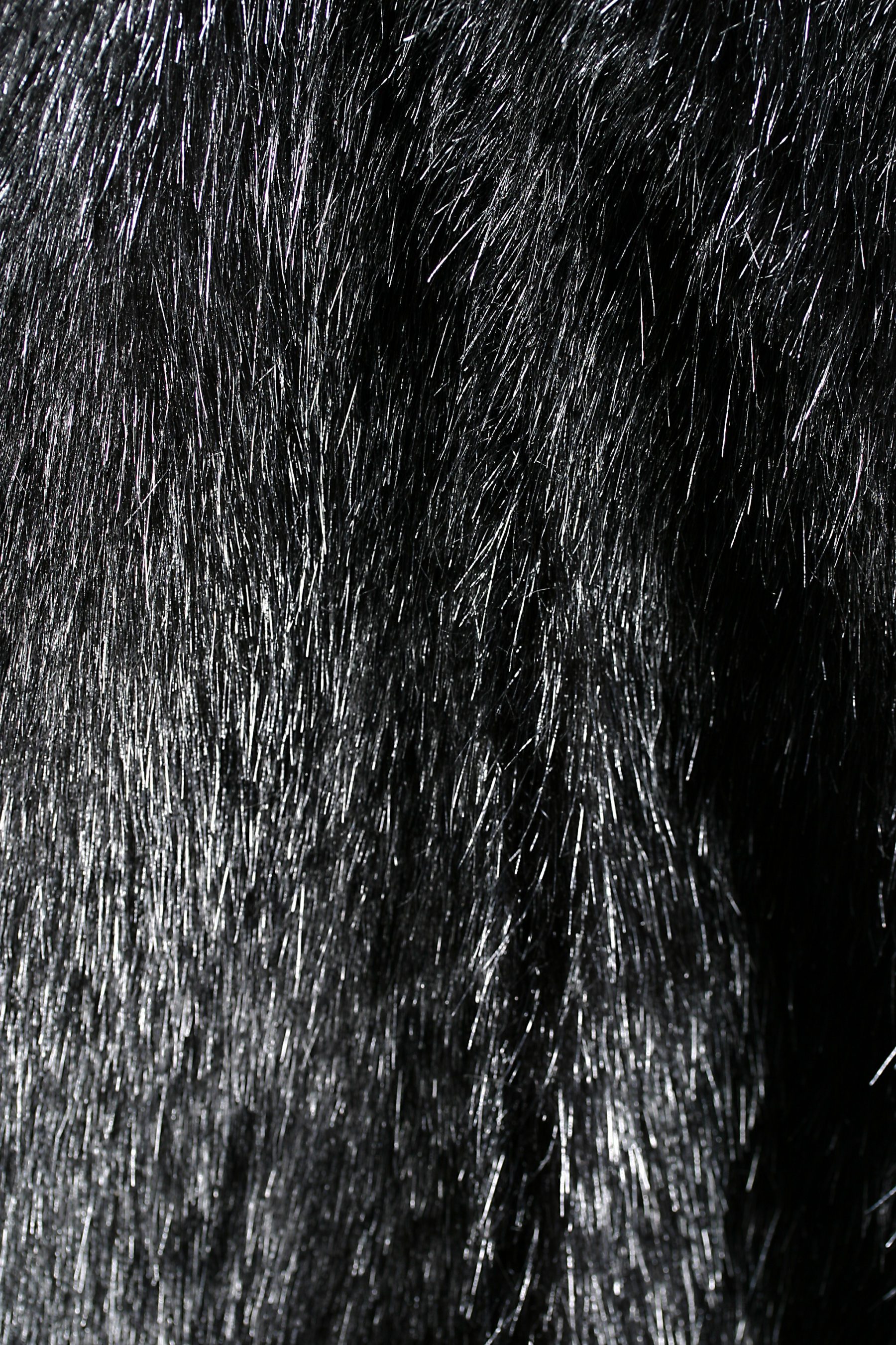 Roxy – Catherine Walker